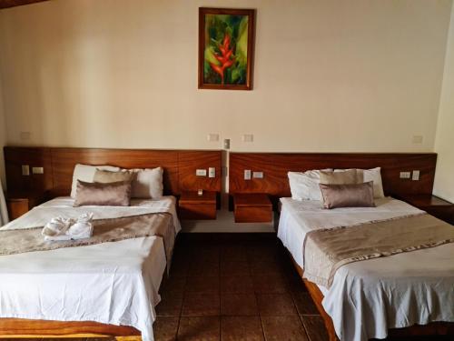 Poshtel Arenal, Fortuna (updated prices 2024)