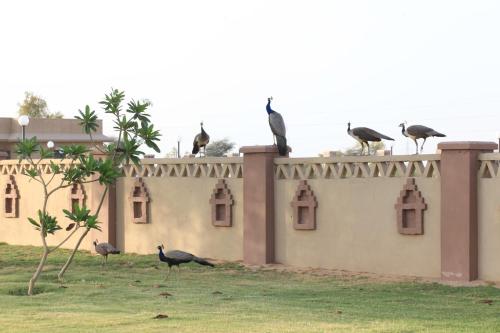 Thar Oasis Resort and Camp, Dechu (updated prices 2025)