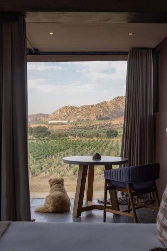 Bruma Wine Resort, Valle de Guadalupe (updated prices 2025)