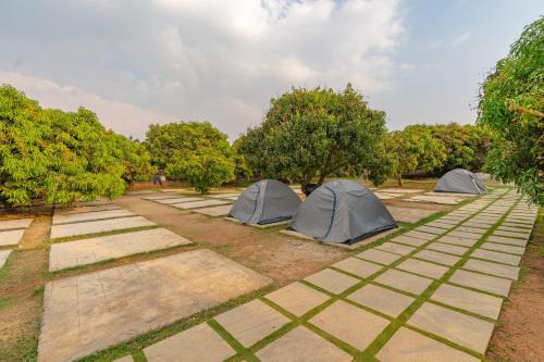 Q Mango Resort, Bangalore (updated prices 2025)