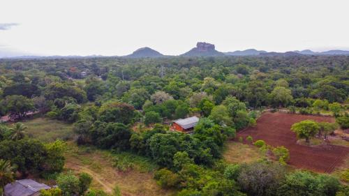 Sigiriya Cottage, Sigiriya (updated prices 2024)