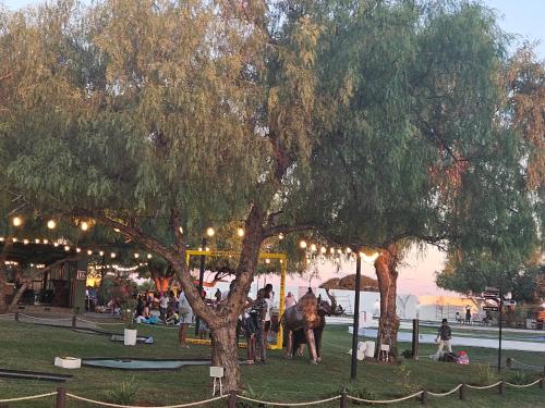 Motheo Adventure Farm Resort and Spa, Kimberley (updated prices 2025)