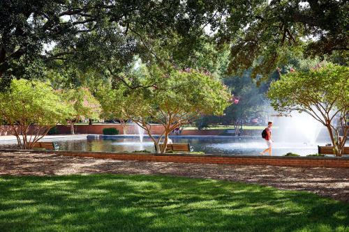 Graduate by Hilton Columbia SC, Columbia (updated prices 2024)