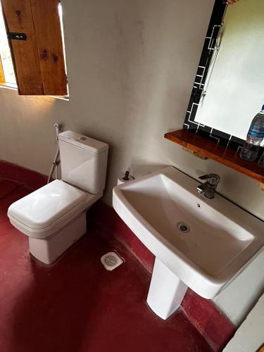 Maasai Eco Boma & Lodge - Experience Maasai Culture, Makuyuni (updated ...