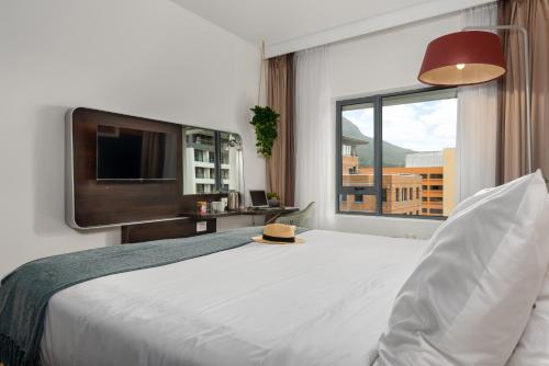 Neighbourgood Newlands, Cape Town (updated prices 2024)