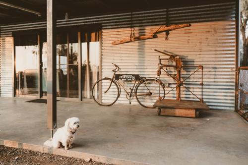 Corynnia Station, Carrathool (updated prices 2025)