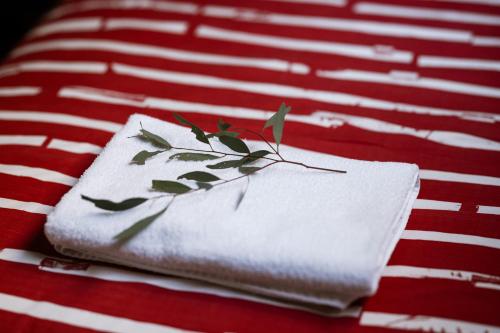 Corynnia Station, Carrathool (updated prices 2025)