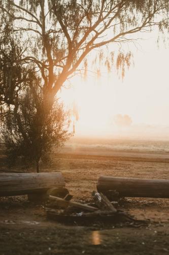 Corynnia Station, Carrathool (updated prices 2025)