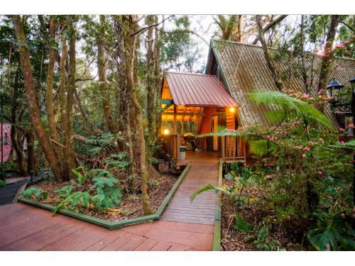 The Mouses House Rainforest Retreat, Springbrook (updated prices 2025)
