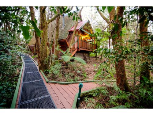 The Mouses House Rainforest Retreat, Springbrook (updated prices 2025)