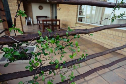 Ingwenya Lodge, St Lucia (updated prices 2025)