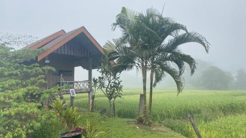 Poopha home stay, Amphoe Pai (updated prices 2025)