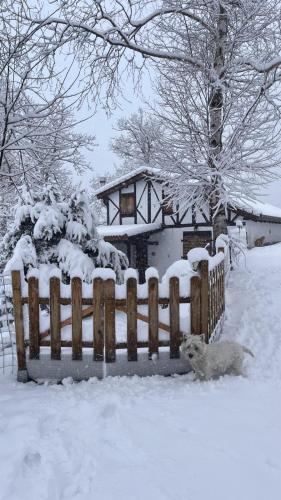 Ca Luena, Llanuces (updated prices 2025)