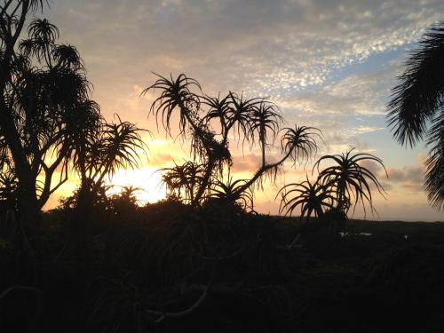 Ingwenya Lodge, St Lucia (updated prices 2025)