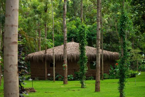 Mtoni River Lodge, Arusha (updated prices 2025)