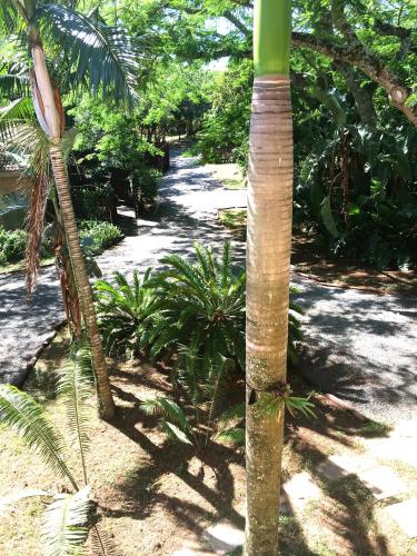 Ingwenya Lodge, St Lucia (updated prices 2025)