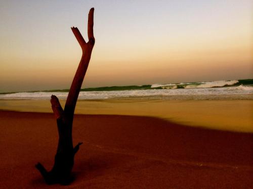 Ingwenya Lodge, St Lucia (updated prices 2025)