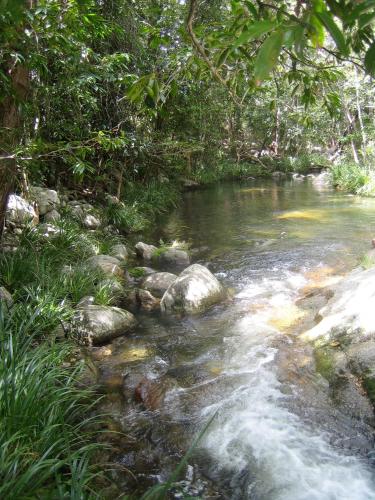 Sweetwater Lodge, Julatten (updated prices 2025)