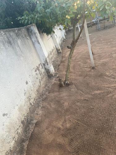 Dennilton Family House, Dennilton (updated prices 2025)