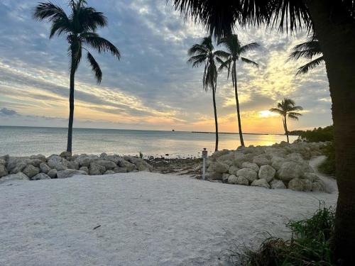 Tropical Paradise Key West, Key West (updated prices 2025)