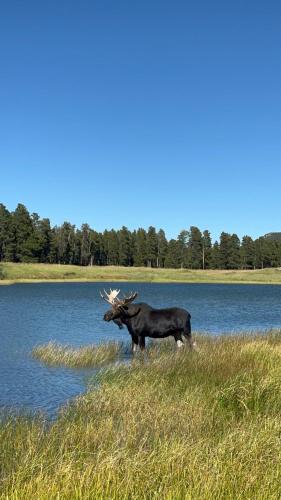 Luxury Lakefront Container Home with Sauna, Fishing, Mountain Views ...