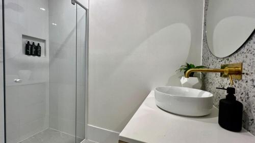 Walk your Pet to the beach, horses walking past, Redcliffe (prețuri ...