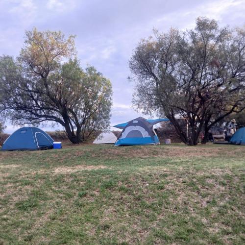 Bodulo Lodge, Thaba Nchu (updated prices 2025)
