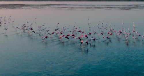 Hawar Resort By Mantis, Hawar Island (updated prices 2025)