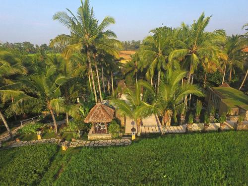 Wapa di Ume Ubud, Ubud (updated prices 2025)