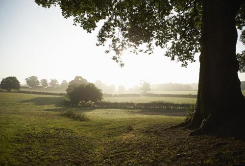 Corner Cottage, Adlestrop (updated prices 2025)