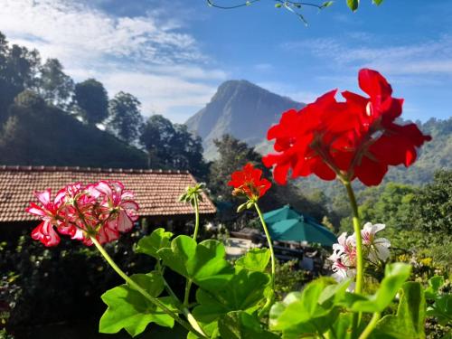 Ella Flower Garden Resort, Ella (updated prices 2025)