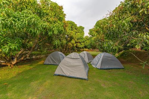 Q Mango Resort, Bangalore (updated prices 2026)