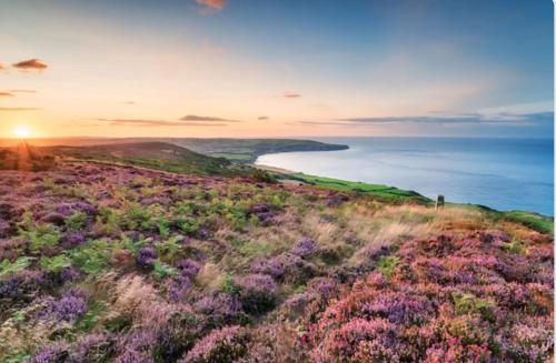 The Flask Inn, Fylingdales, Whitby, Fylingdales (updated prices 2025)