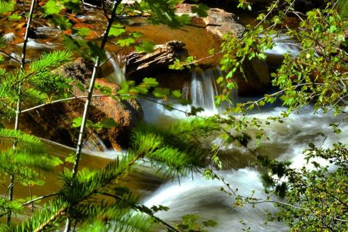 Stonebrook Resort - Adult Only, Estes Park (updated prices 2025)