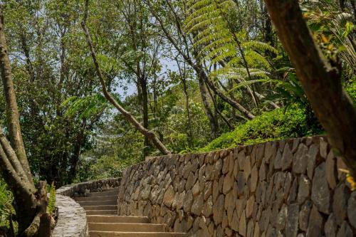 MAHHA dii MERU Resort, Puncak (updated prices 2025)