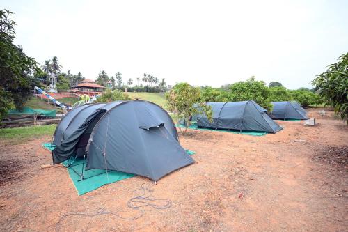 Tinton Adventure Resort, Golikatte (updated prices 2026)