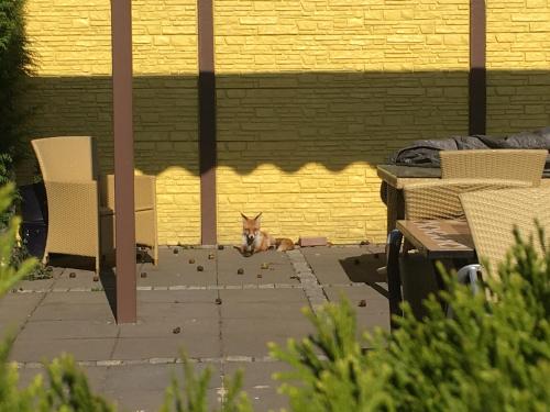 Apart Hotel Haveltreff, Caputh (aktualisierte Preise für 2025)