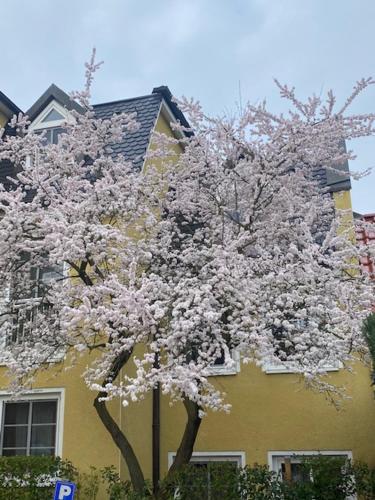 Apart Hotel Haveltreff, Caputh (aktualisierte Preise für 2025)