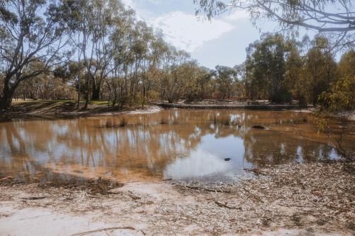 Tiny House 3 at Grampians Edge, Dadswells Bridge (updated prices 2025)
