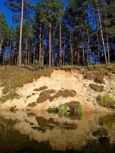 Wood Land Liswarta domki w drzewach, Popów (updated prices 2025)