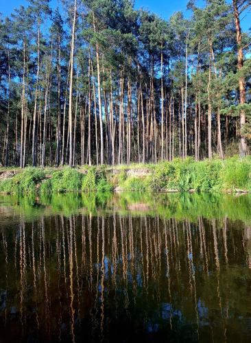 Wood Land Liswarta domki w drzewach, Popów (updated prices 2025)
