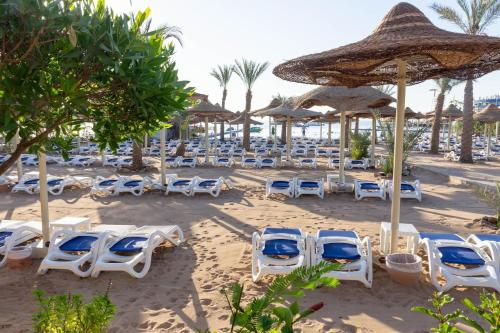 Cataract Resort & Aqua Park Naama Bay, Sharm El Sheikh (updated prices ...