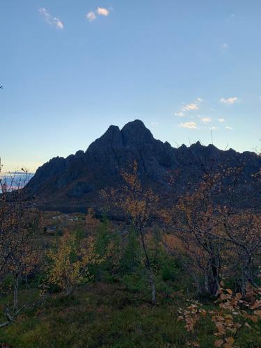Lofoten- Feriehus Fjøsen, Ørsvåg (updated prices 2025)
