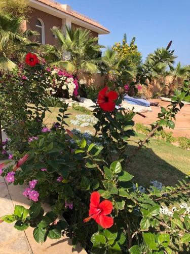 Fox House Resort Apartment, Hurghada (updated prices 2025)