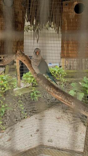 Exclusive Lake Tiny House in Beautiful Japanese Garden, Homestead ...