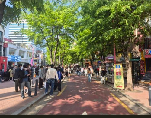 New Open Hongdae Sinchon Ewha Gyeongui Line Forest Road Severance ...