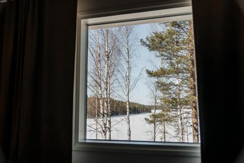 Aito Igloo & Spa Resort, Rovaniemi (updated prices 2025)