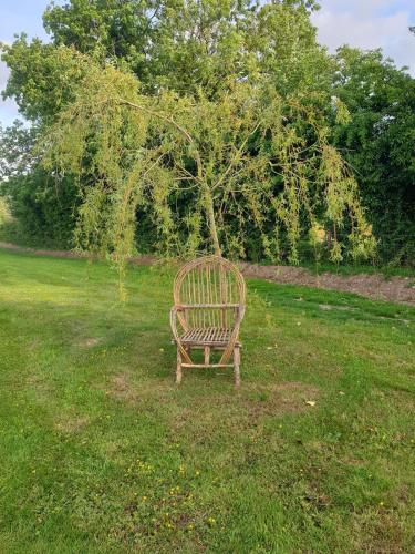 Nellies Cottage B&B & Log Cabins, Kilcogy (opdaterede priser for 2025)