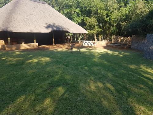 Harties Is Africa Safari Lodge, Hartbeespoort (updated prices 2025)