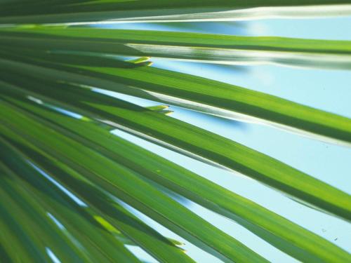 Novotel Setubal, Setúbal (updated prices 2025)